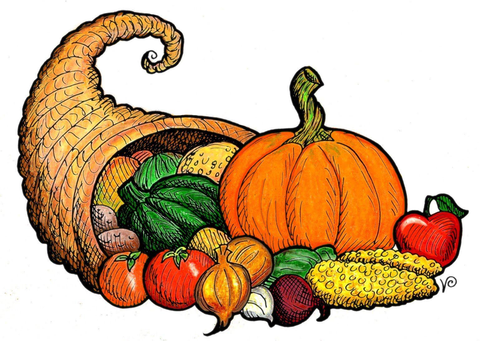 Cornucopia Wallpapers - Top Free Cornucopia Backgrounds - WallpaperAccess