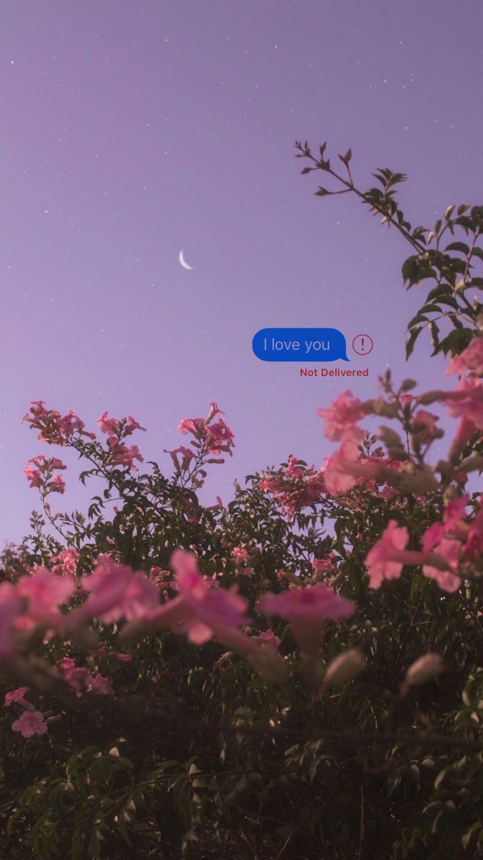 Sad Flower Wallpapers - Top Free Sad Flower Backgrounds - WallpaperAccess