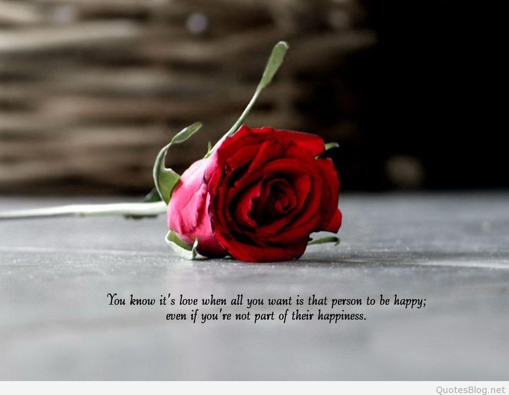 Sad Flower Wallpapers - Top Free Sad Flower Backgrounds - WallpaperAccess