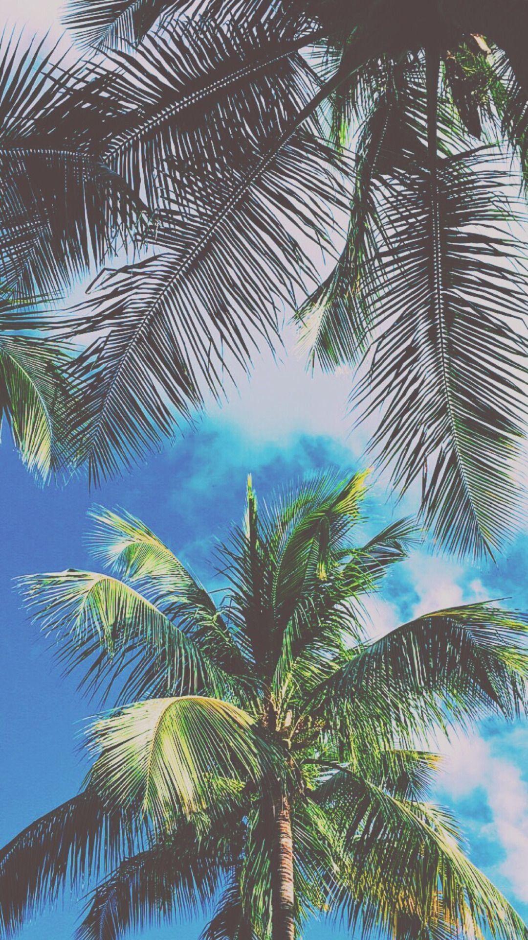 Dope iPhone 5S Wallpapers - Top Free Dope iPhone 5S Backgrounds ...