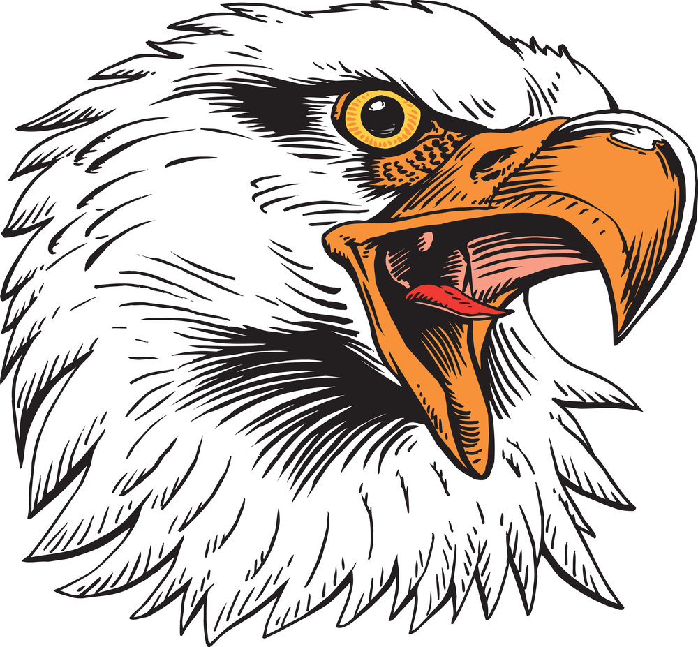 Eagle Logo Wallpapers - Top Free Eagle Logo Backgrounds - WallpaperAccess