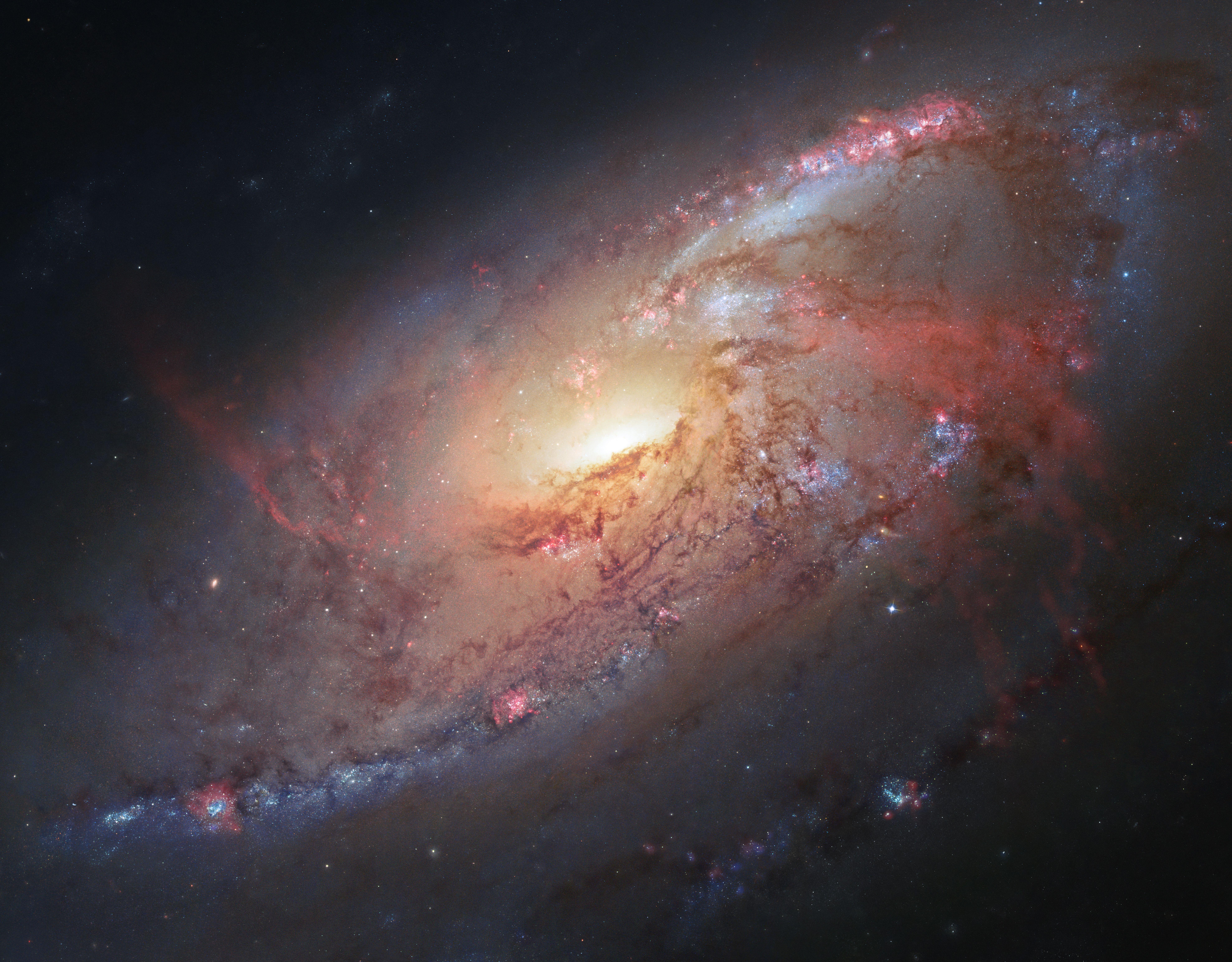 8K Galaxy Wallpapers - Top Free 8K Galaxy Backgrounds - WallpaperAccess