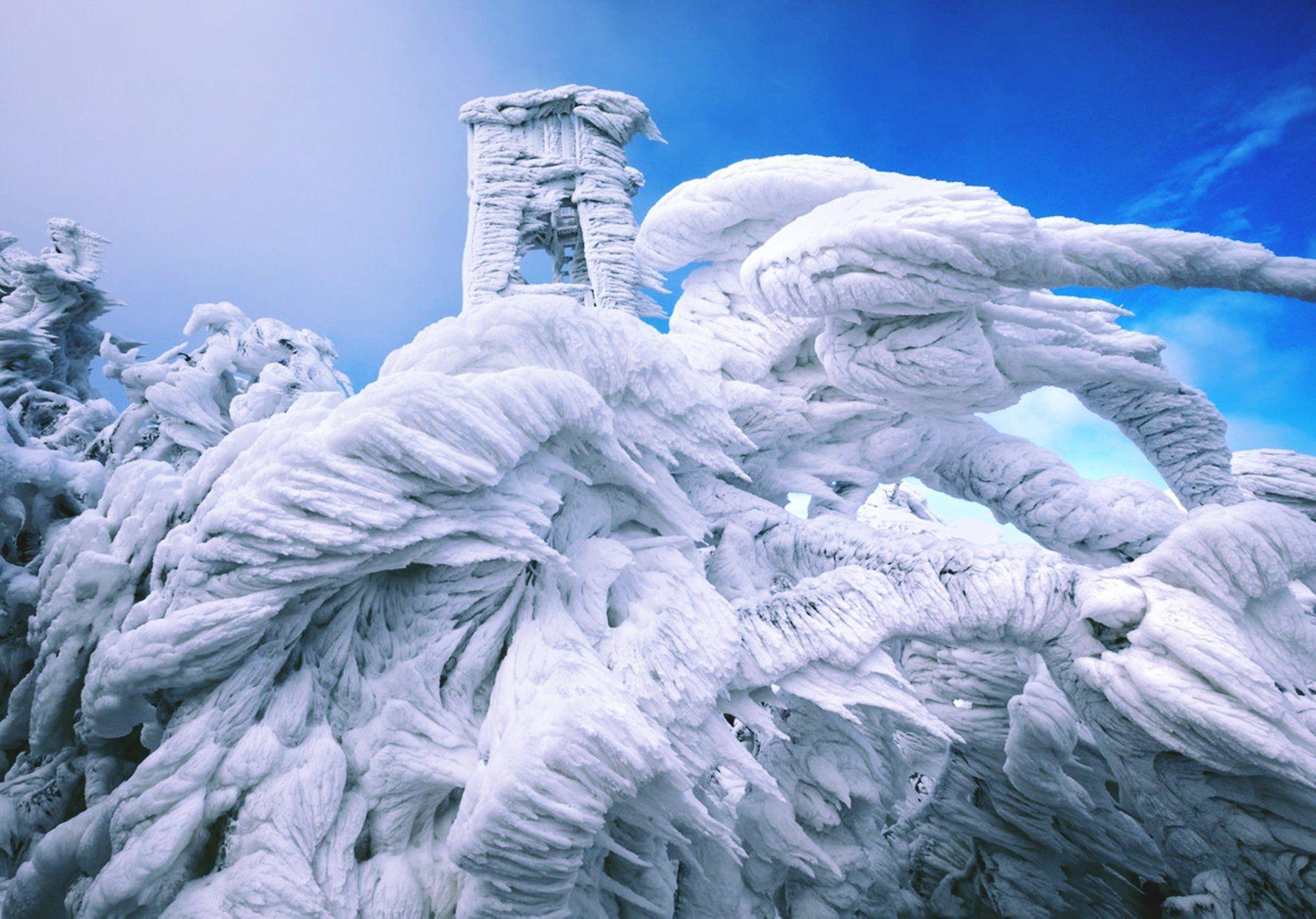 Ice Sculpture Wallpapers - Top Free Ice Sculpture Backgrounds ...