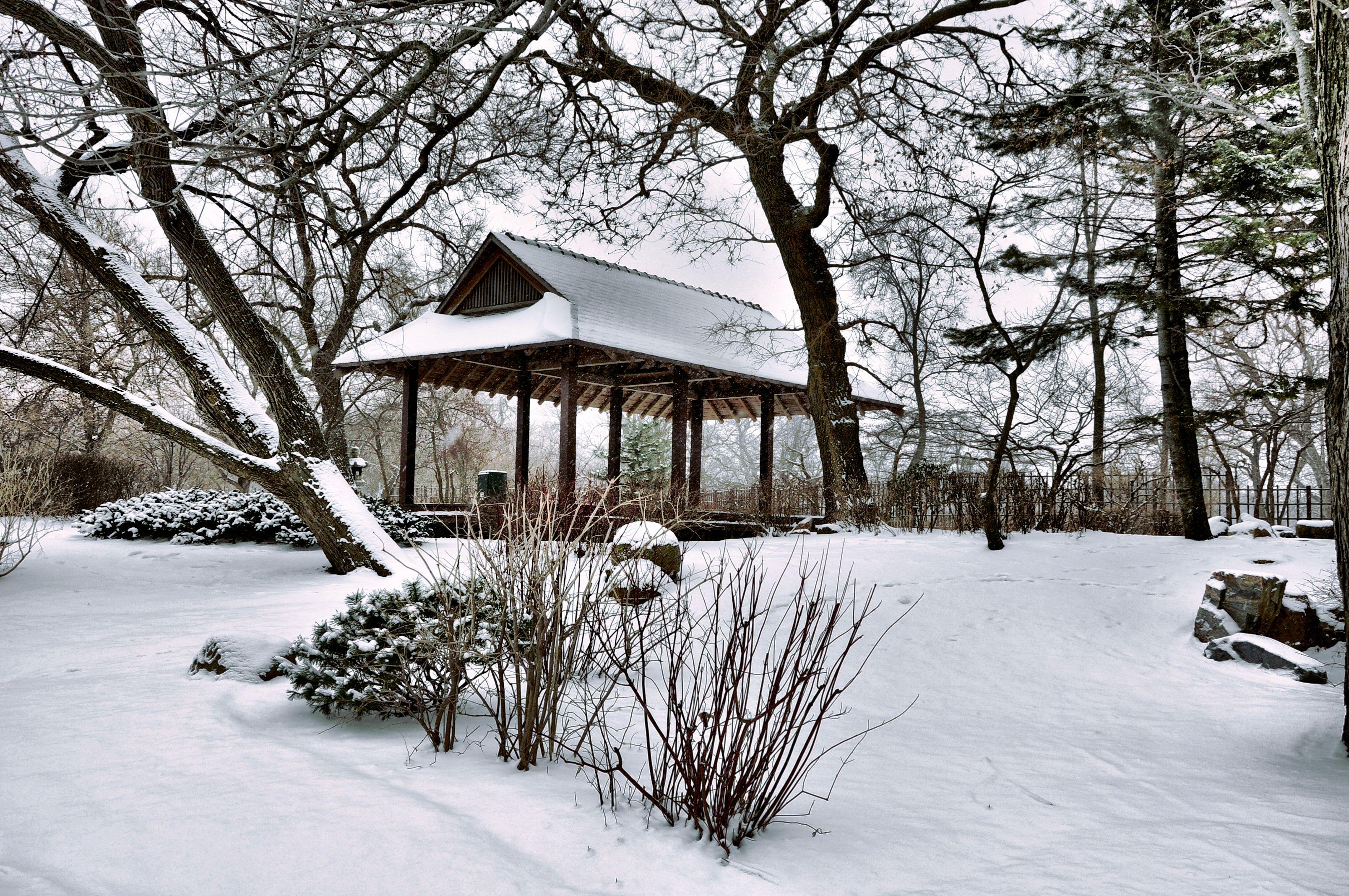 Osaka Winter Wallpapers - Top Free Osaka Winter Backgrounds ...