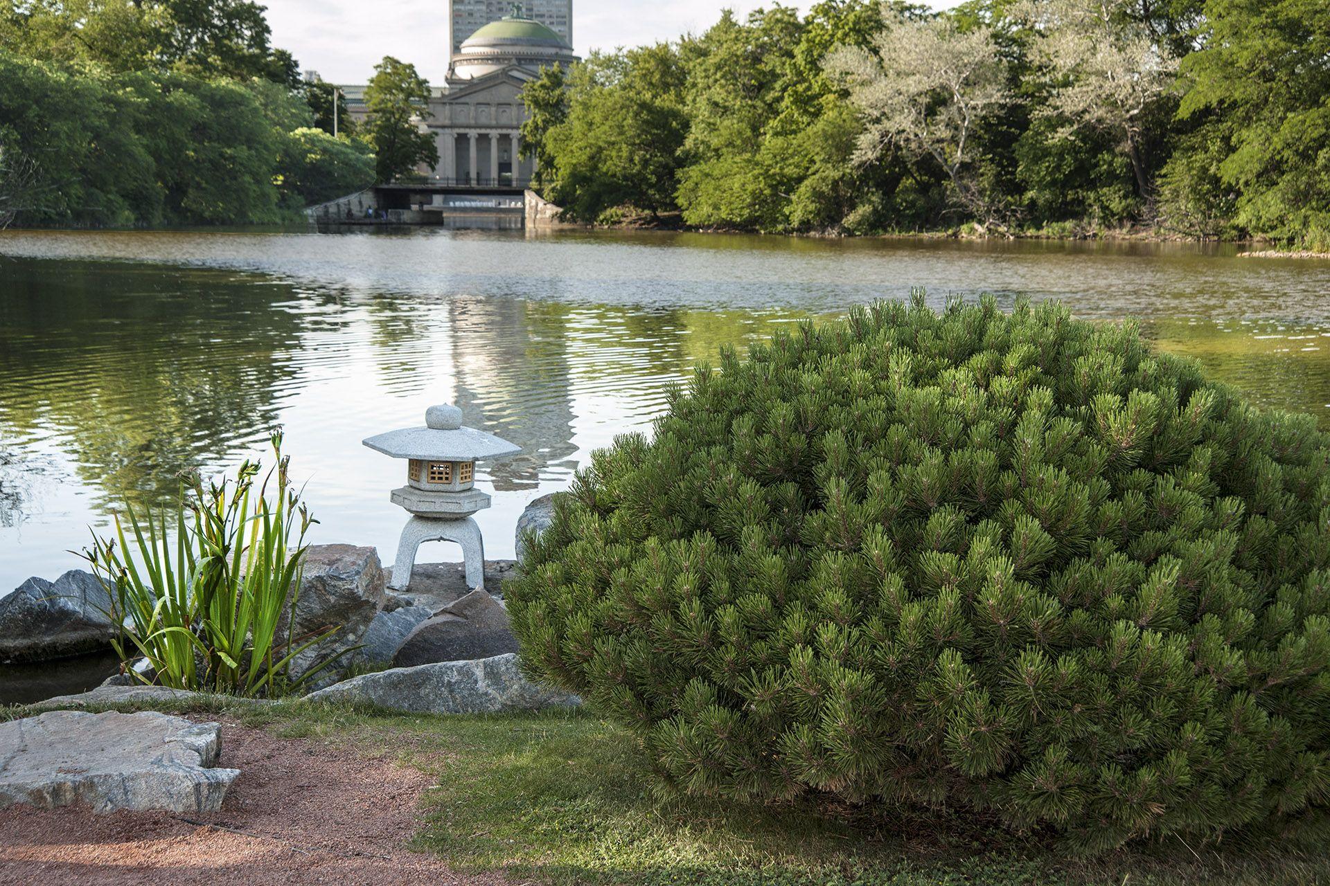 Osaka Garden Chicago Wallpapers - Top Free Osaka Garden Chicago ...