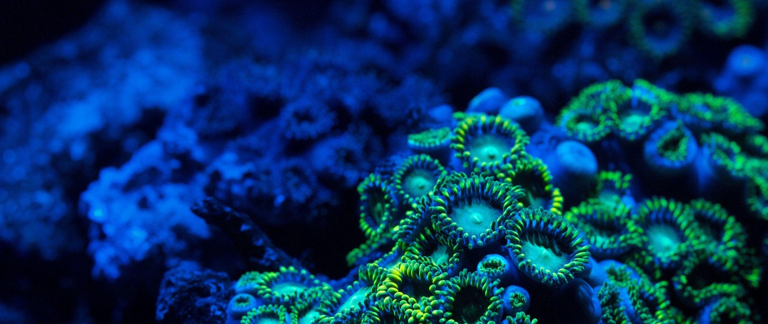 Biology 4K Wallpapers - Top Free Biology 4K Backgrounds - WallpaperAccess