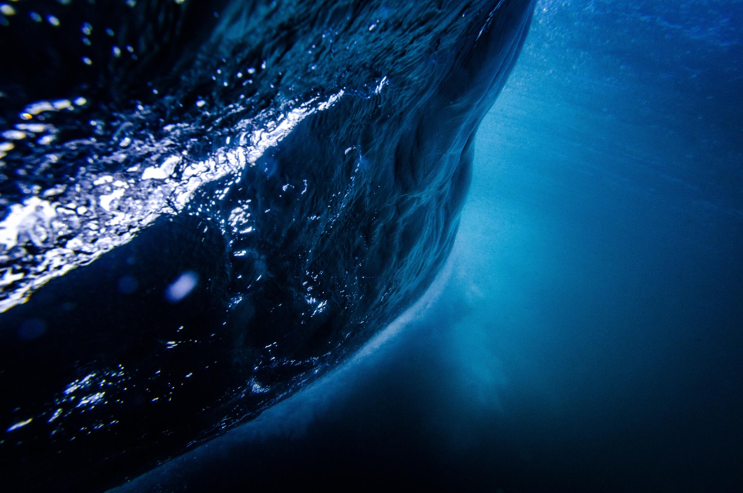 Biology 4K Wallpapers - Top Free Biology 4K Backgrounds - WallpaperAccess