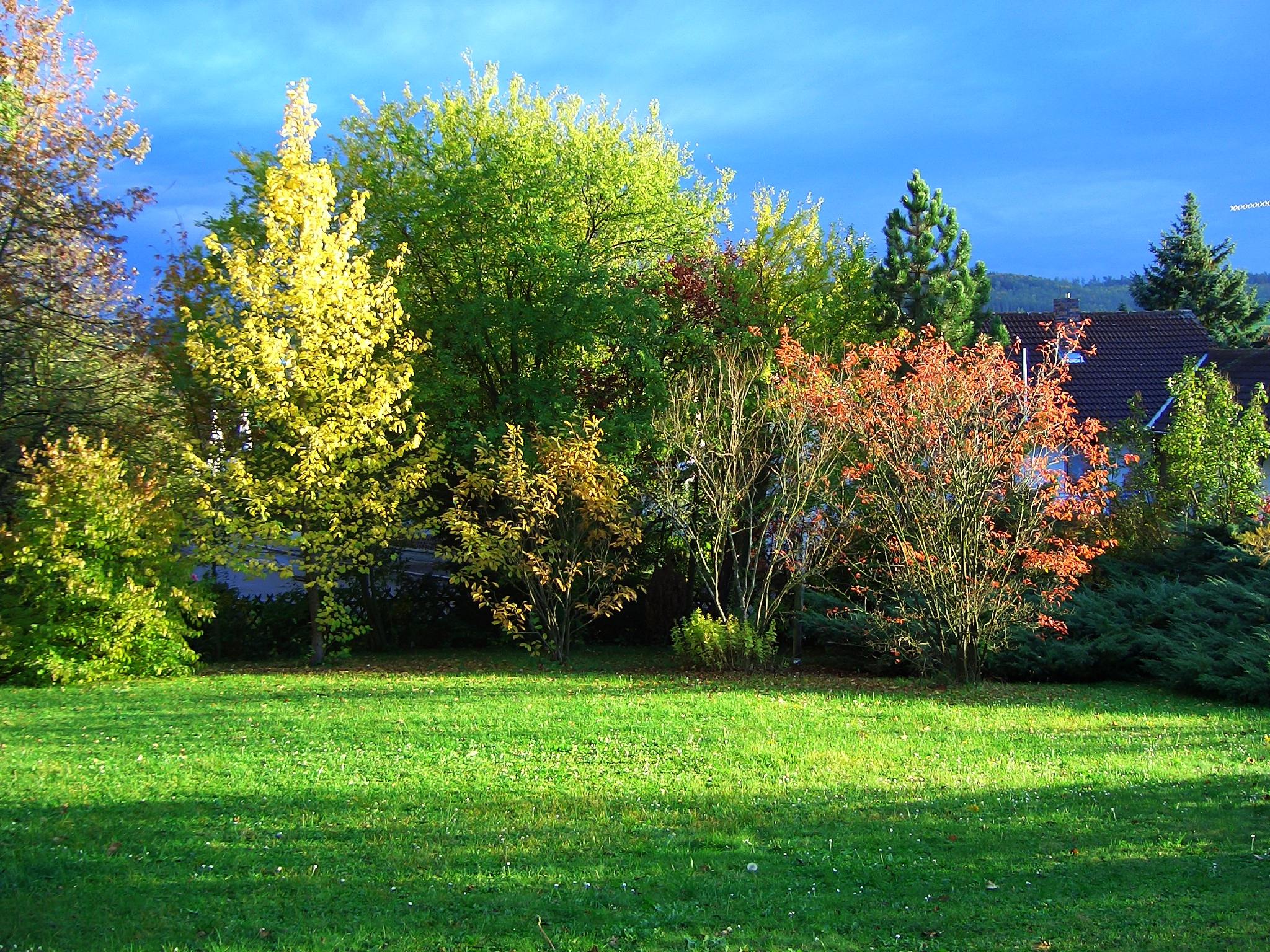 Garden High Quality HD Wallpapers - Top Free Garden High Quality HD ...