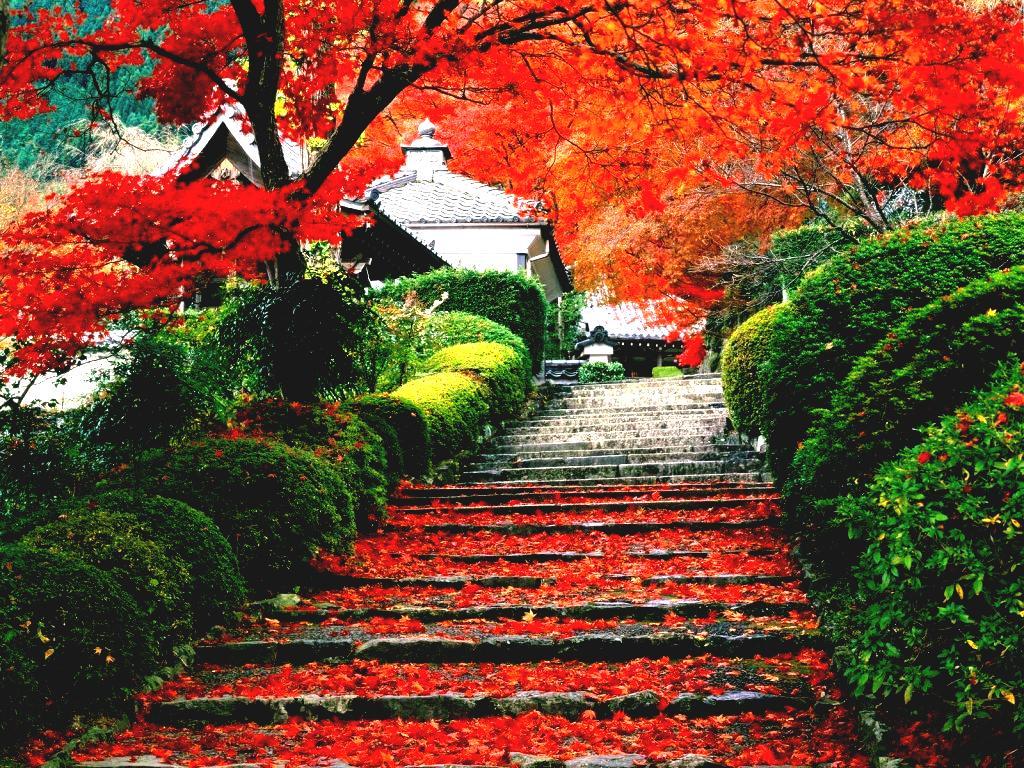 Garden High Quality HD Wallpapers - Top Free Garden High Quality HD ...