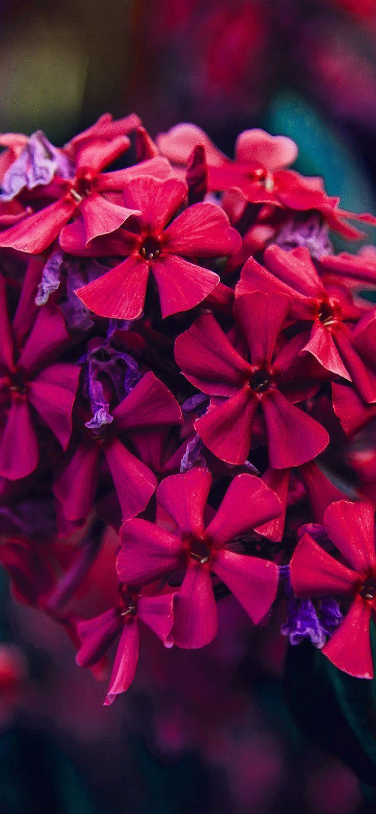 iPhone Beautiful Wallpapers - Top Free iPhone Beautiful Backgrounds ...