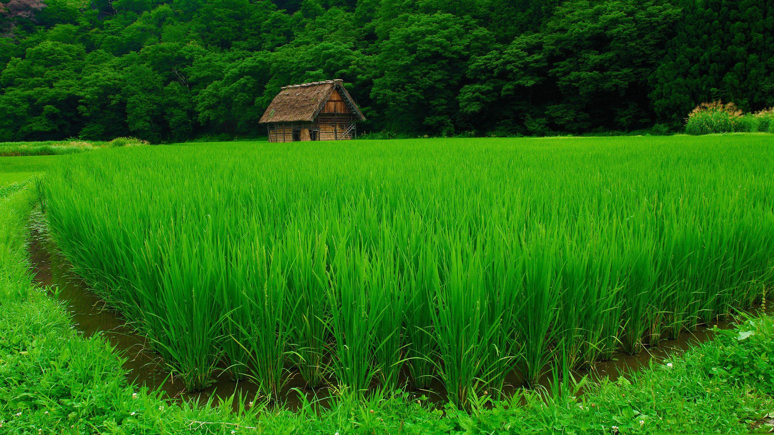 Farm House HD Wallpapers - Top Free Farm House HD Backgrounds ...