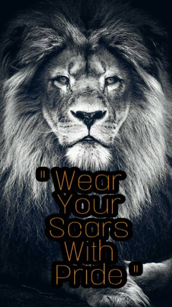 Lion Quotes HD Wallpapers - Top Free Lion Quotes HD Backgrounds ...