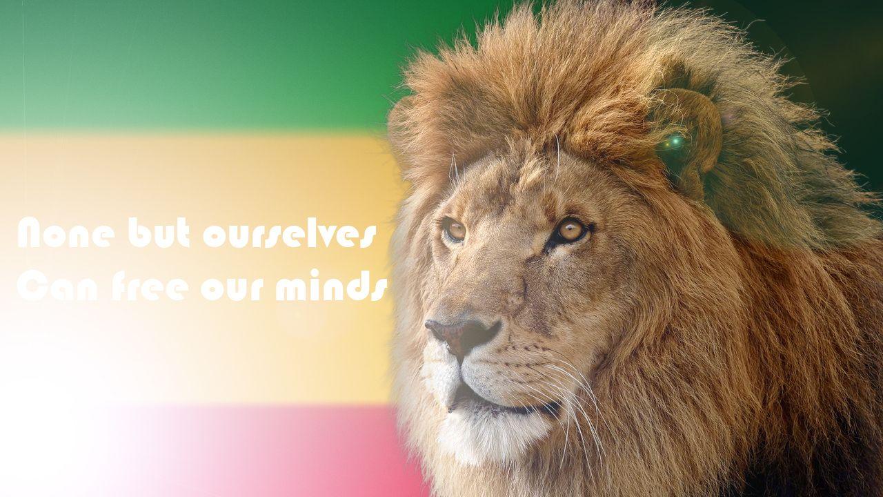 Lion Quotes HD Wallpapers - Top Free Lion Quotes HD Backgrounds ...