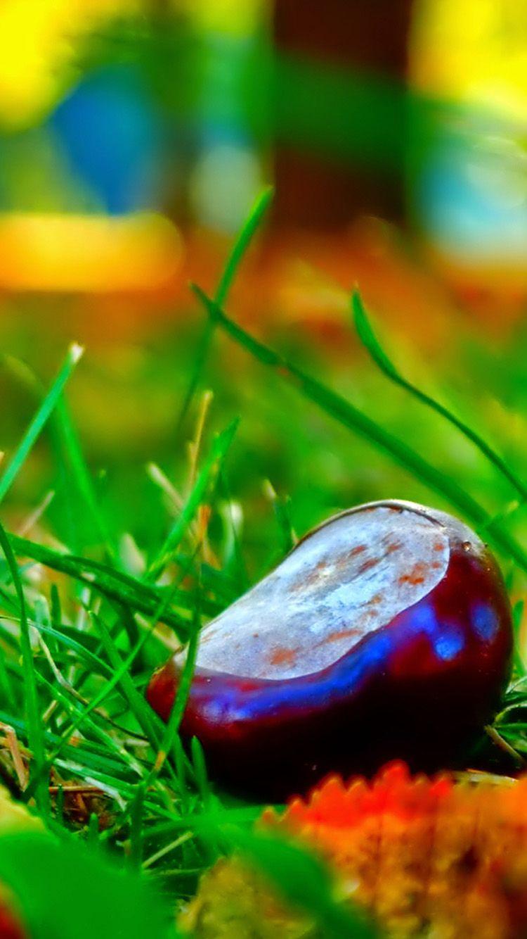 HQ iPhone Wallpapers - Top Free HQ iPhone Backgrounds - WallpaperAccess