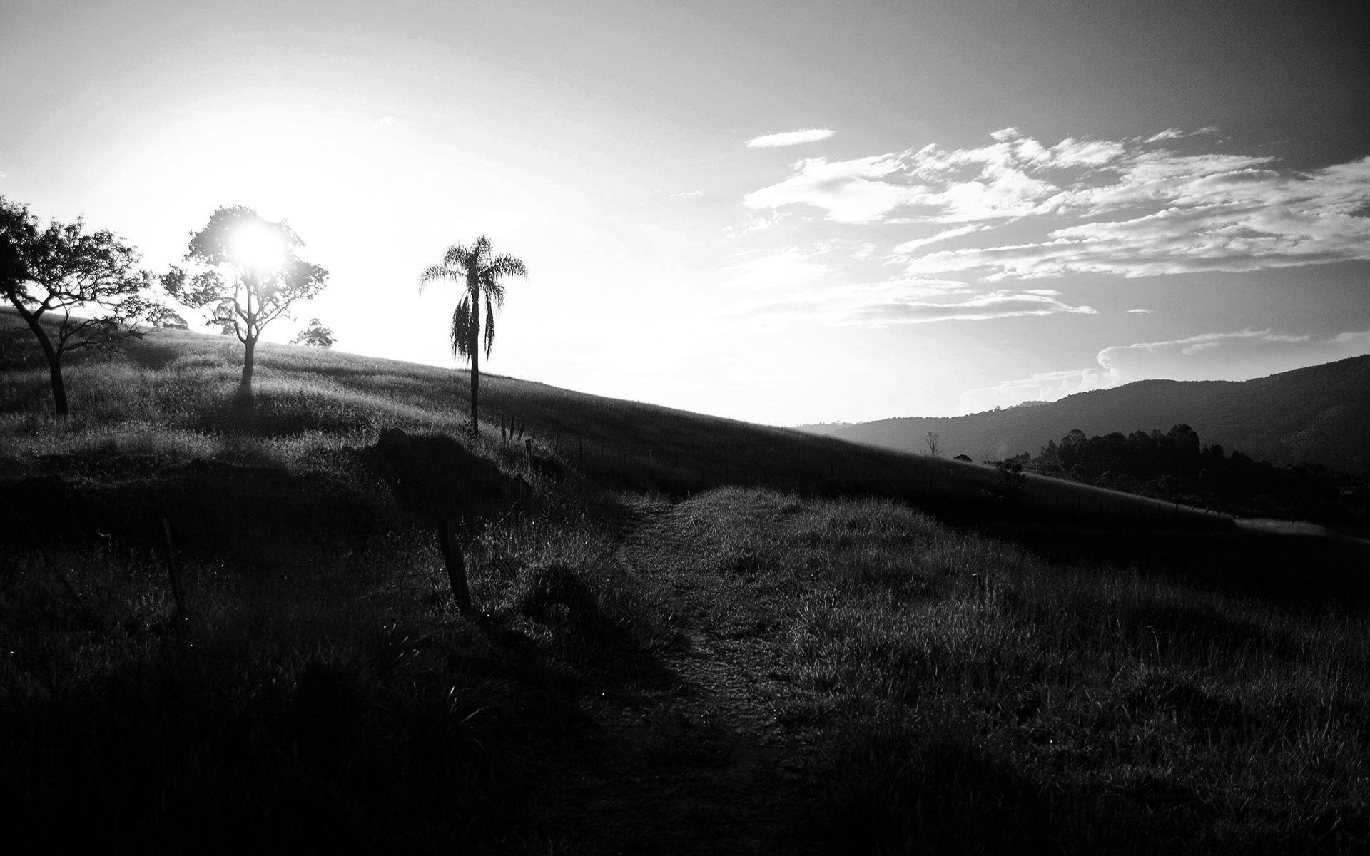 Black and White Sunset Wallpapers - Top Free Black and White Sunset ...