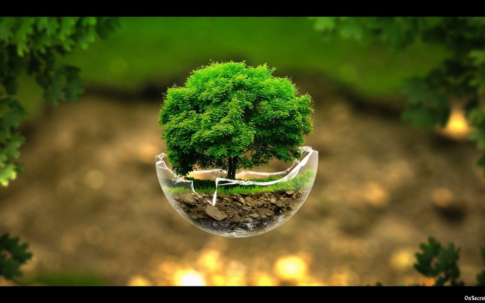 Earth Nature Wallpapers - Top Free Earth Nature Backgrounds ...