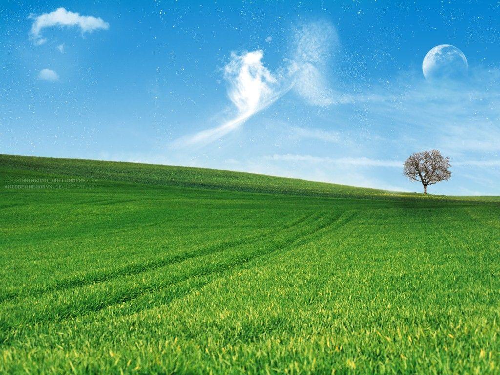 Earth Nature Wallpapers - Top Free Earth Nature Backgrounds ...