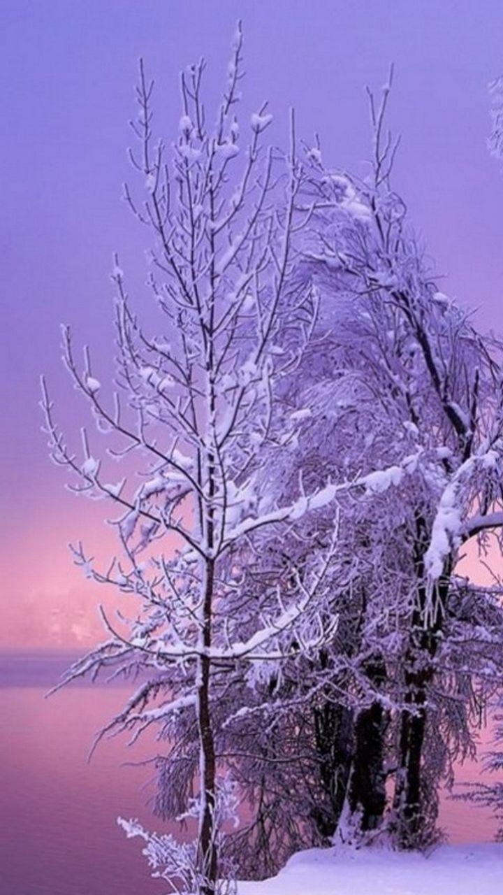 Calming Winter Wallpapers - Top Free Calming Winter Backgrounds ...