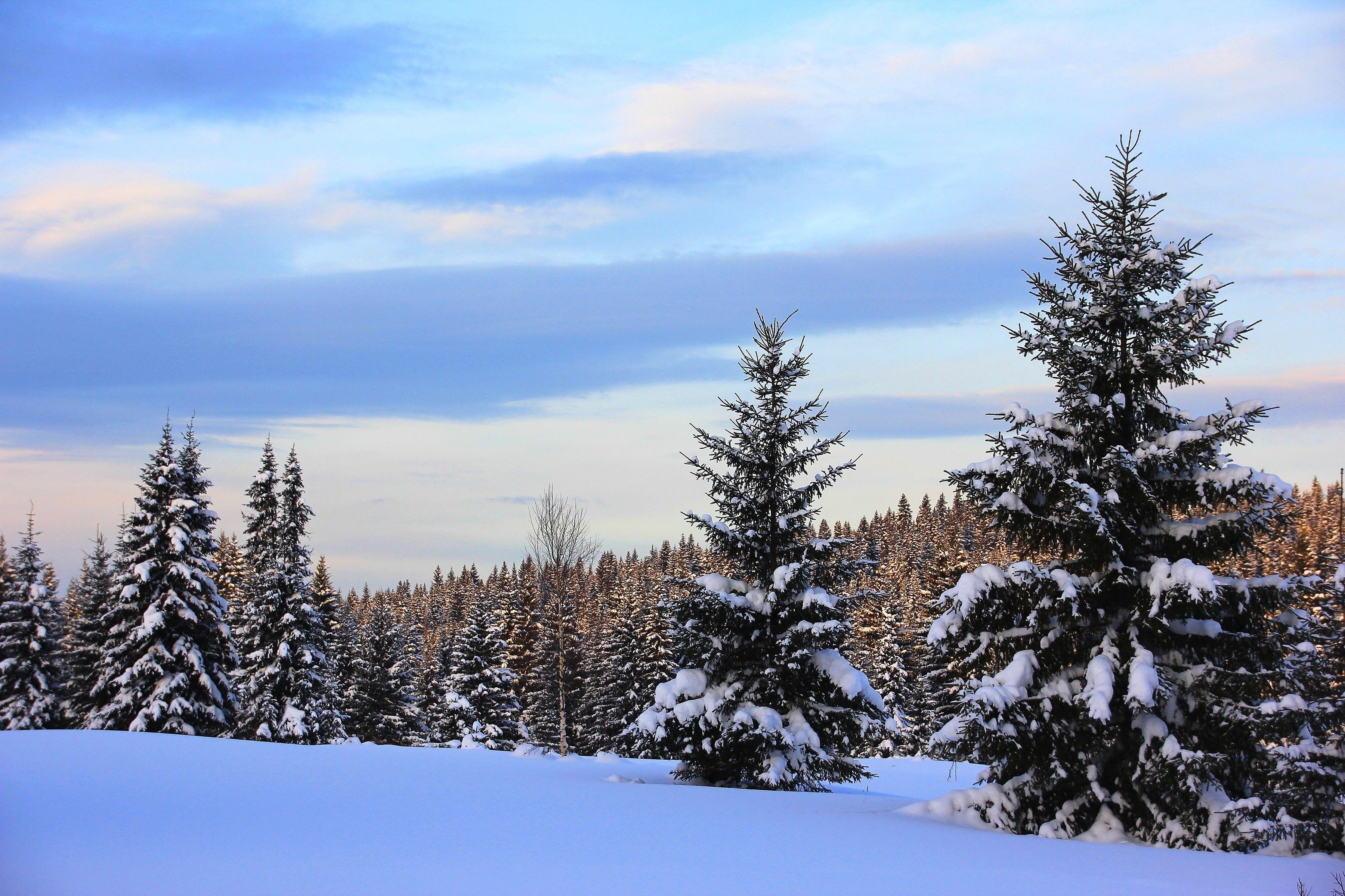 Winter Tumblr Laptop Wallpapers - Top Free Winter Tumblr Laptop ...