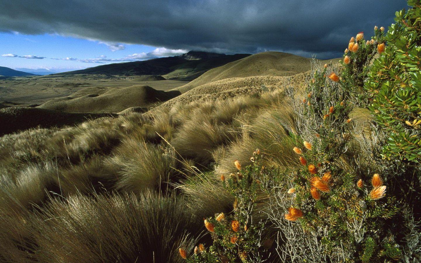 Ecuador Landscape Wallpapers - Top Free Ecuador Landscape Backgrounds ...