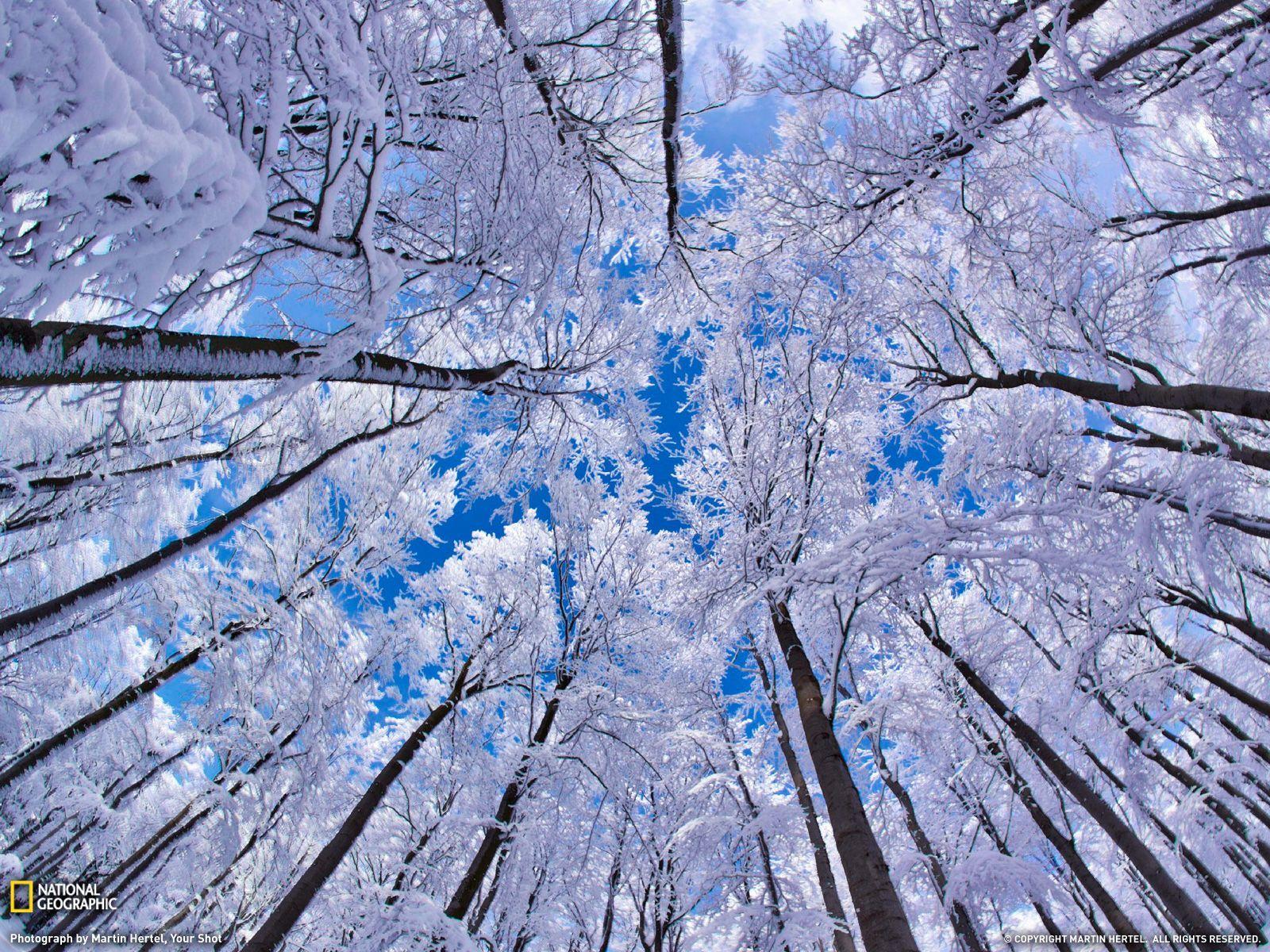 National Geographic Winter Wallpapers - Top Free National Geographic ...