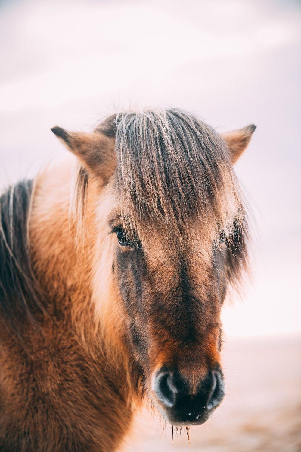 Animal Planet Wallpapers - Top Free Animal Planet Backgrounds ...