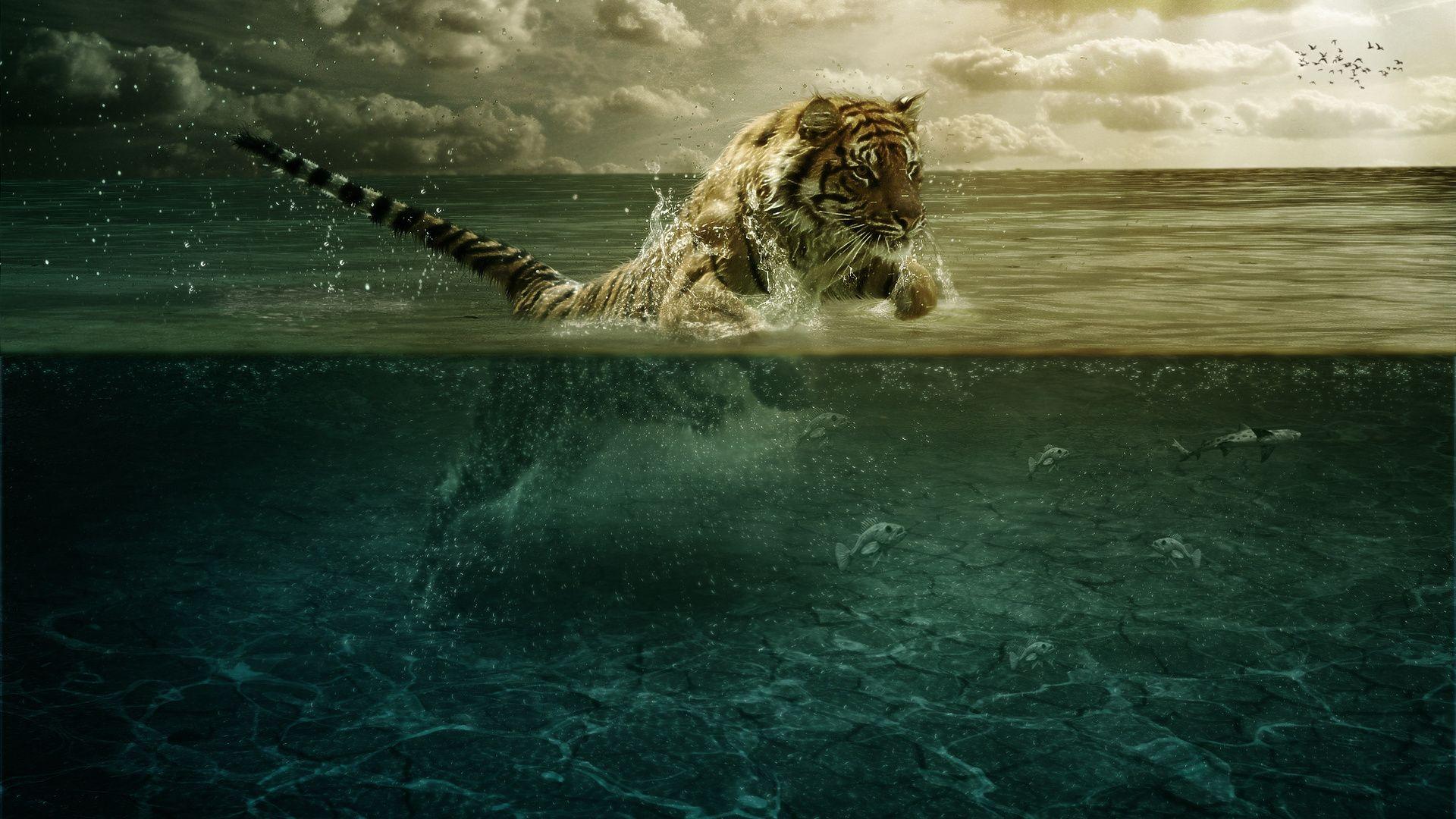 Fantastic Desktop Wallpapers - Top Free Fantastic Desktop Backgrounds ...