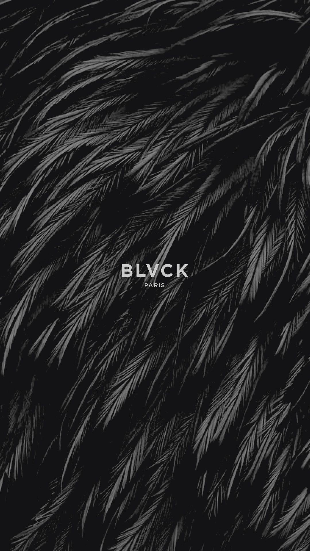 Black Feather Wallpapers - Top Free Black Feather Backgrounds ...