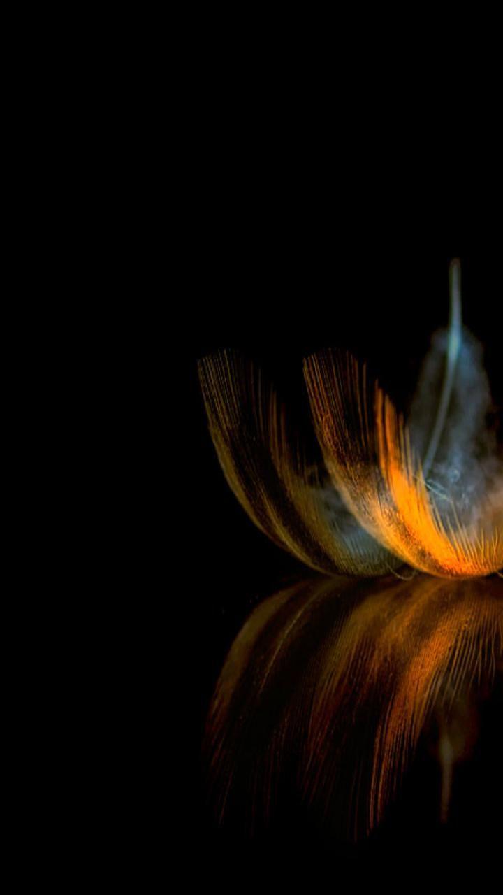 Black Feather Wallpapers - Top Free Black Feather Backgrounds ...