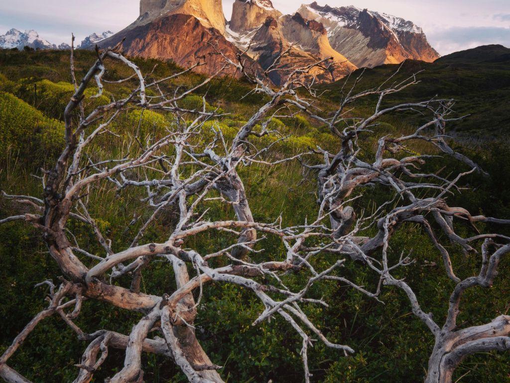 Patagonia 4K Wallpapers - Top Free Patagonia 4K Backgrounds ...