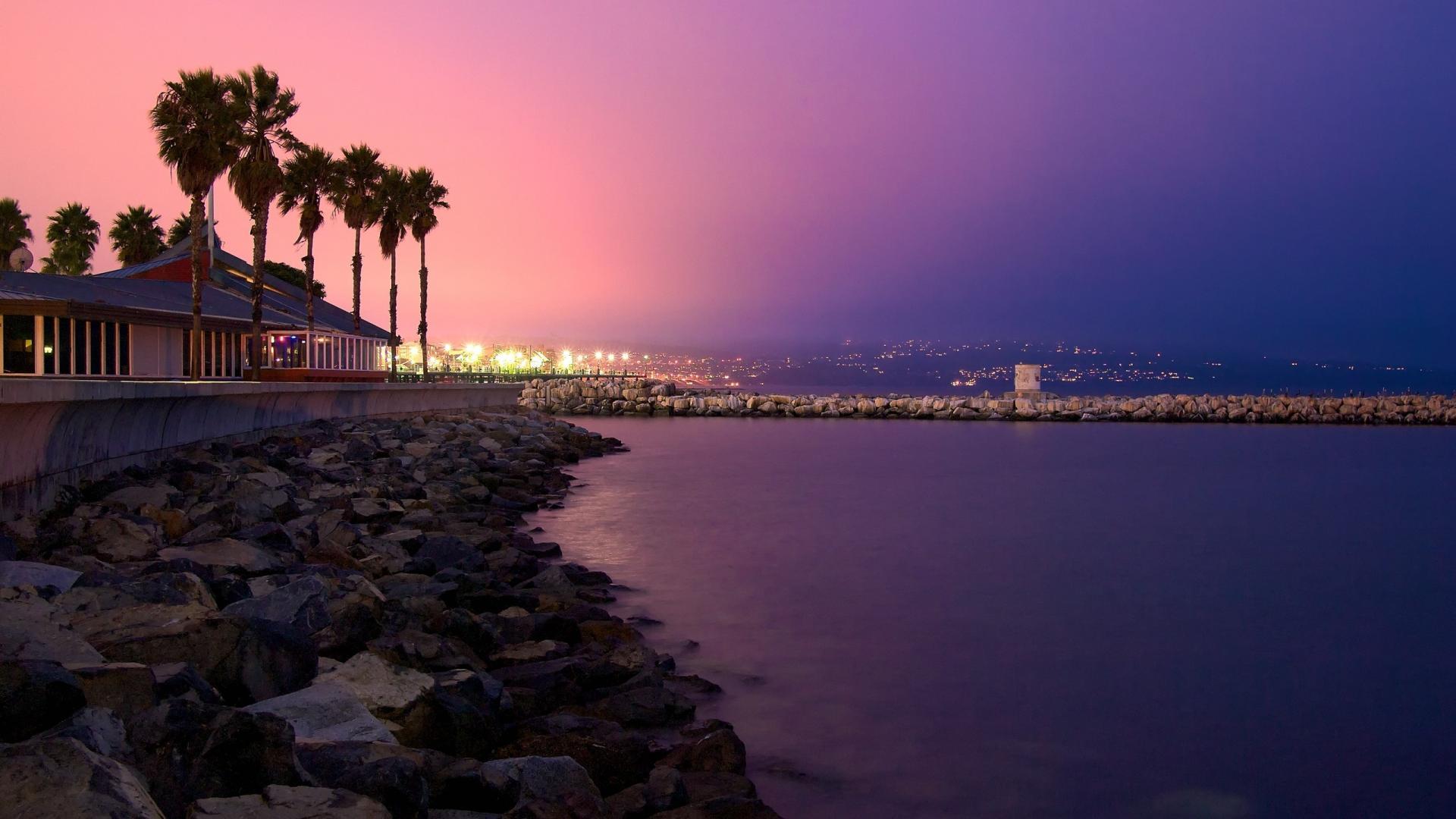 Los Angeles Palm Trees Wallpapers - Top Free Los Angeles Palm Trees ...