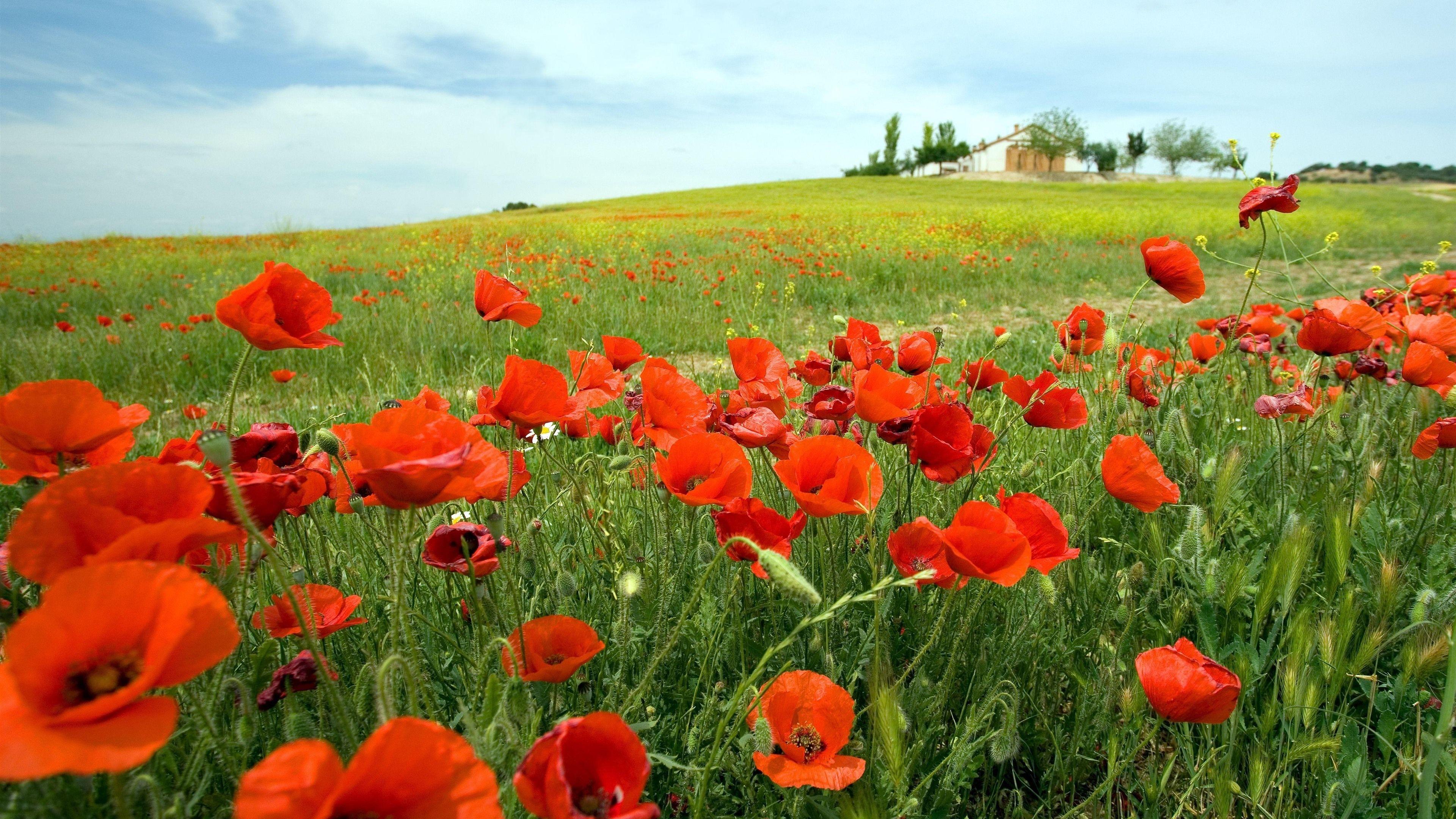 Spring Countryside Wallpapers - Top Free Spring Countryside Backgrounds ...