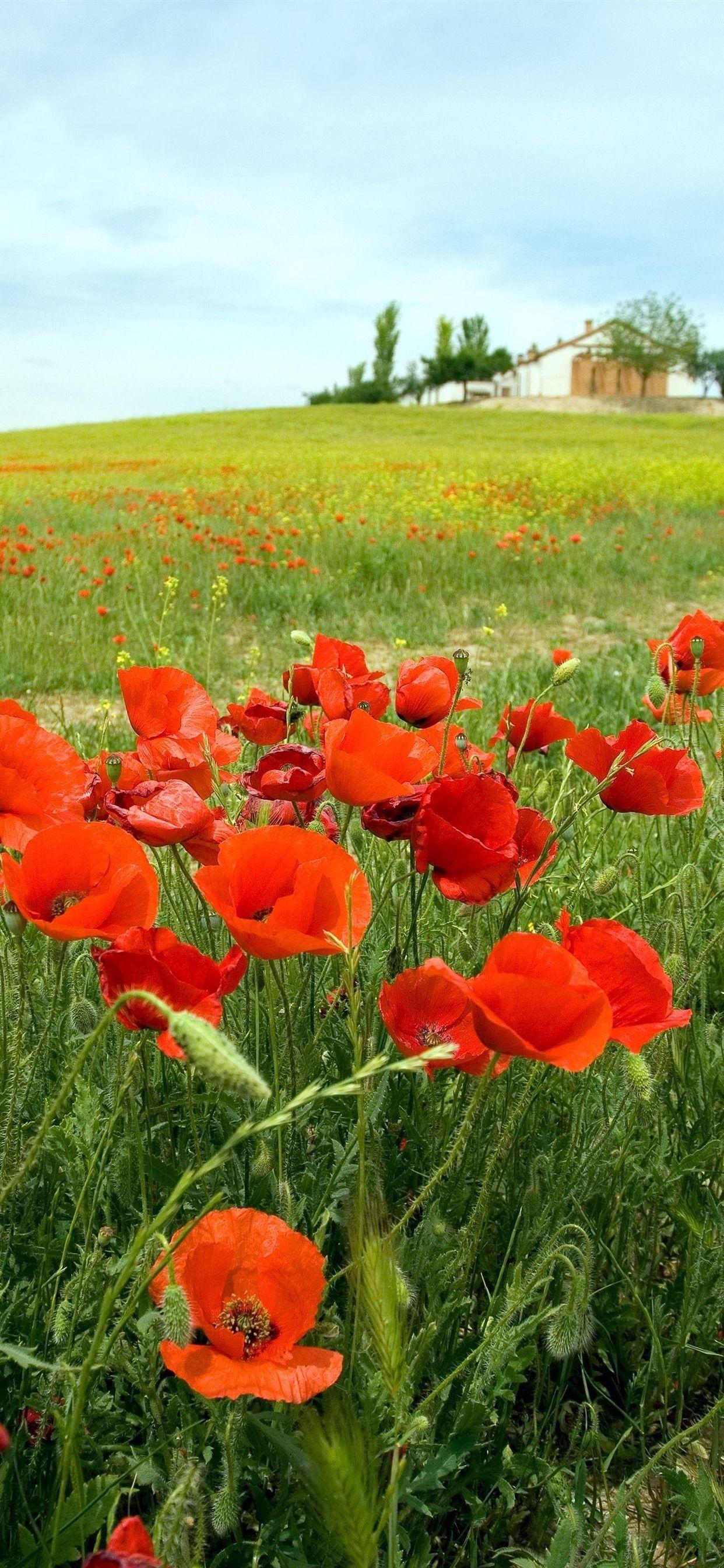 Spring Countryside Wallpapers - Top Free Spring Countryside Backgrounds ...