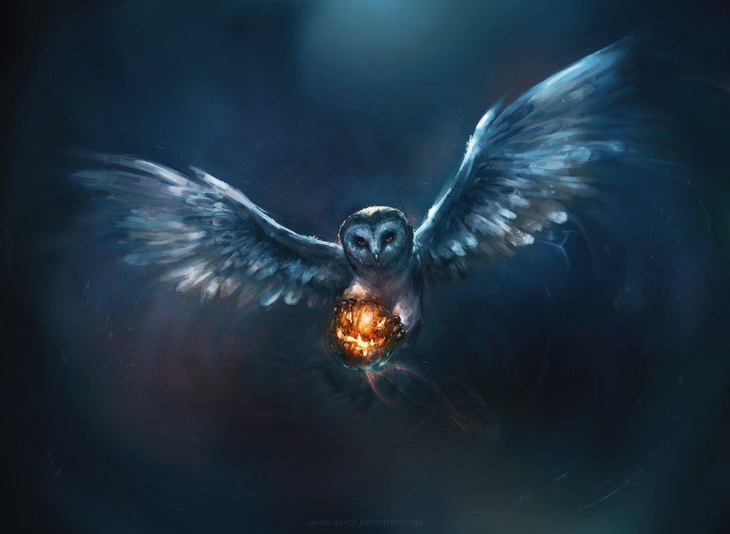 Fire Owl Wallpapers - Top Free Fire Owl Backgrounds - WallpaperAccess