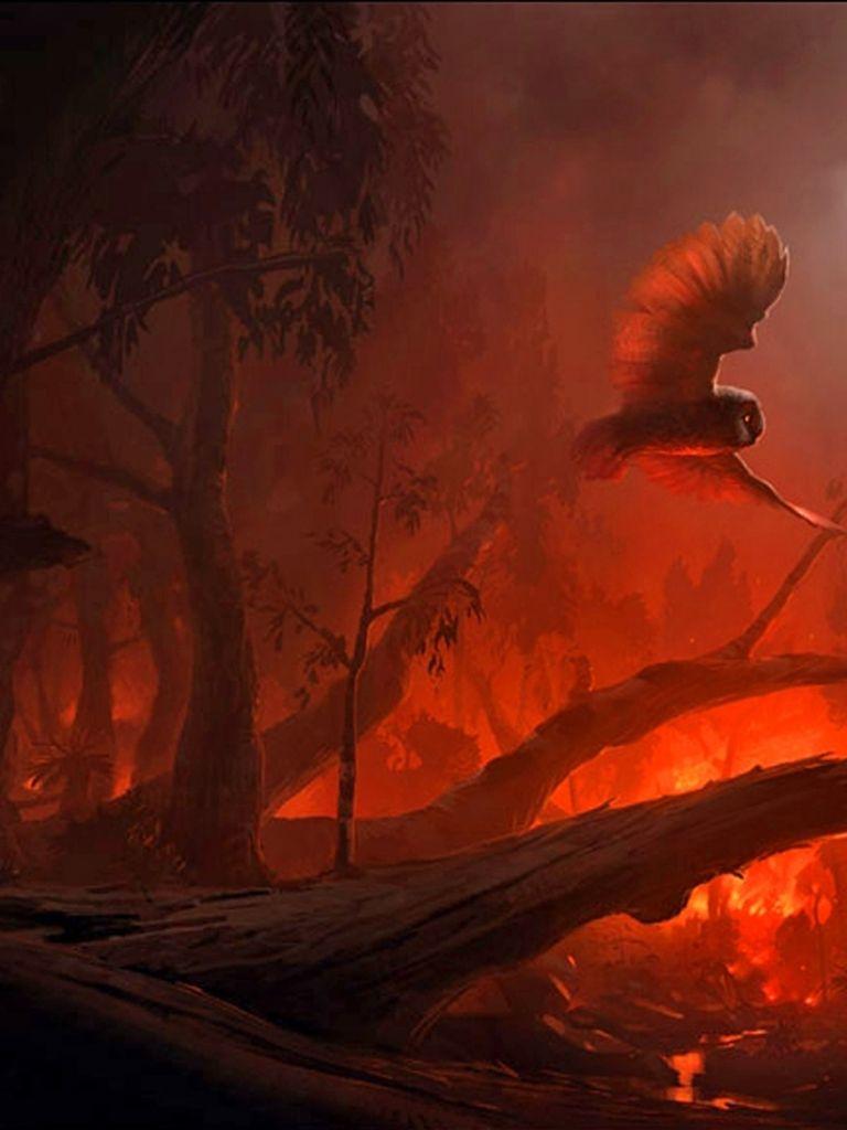 Fire Owl Wallpapers - Top Free Fire Owl Backgrounds - WallpaperAccess