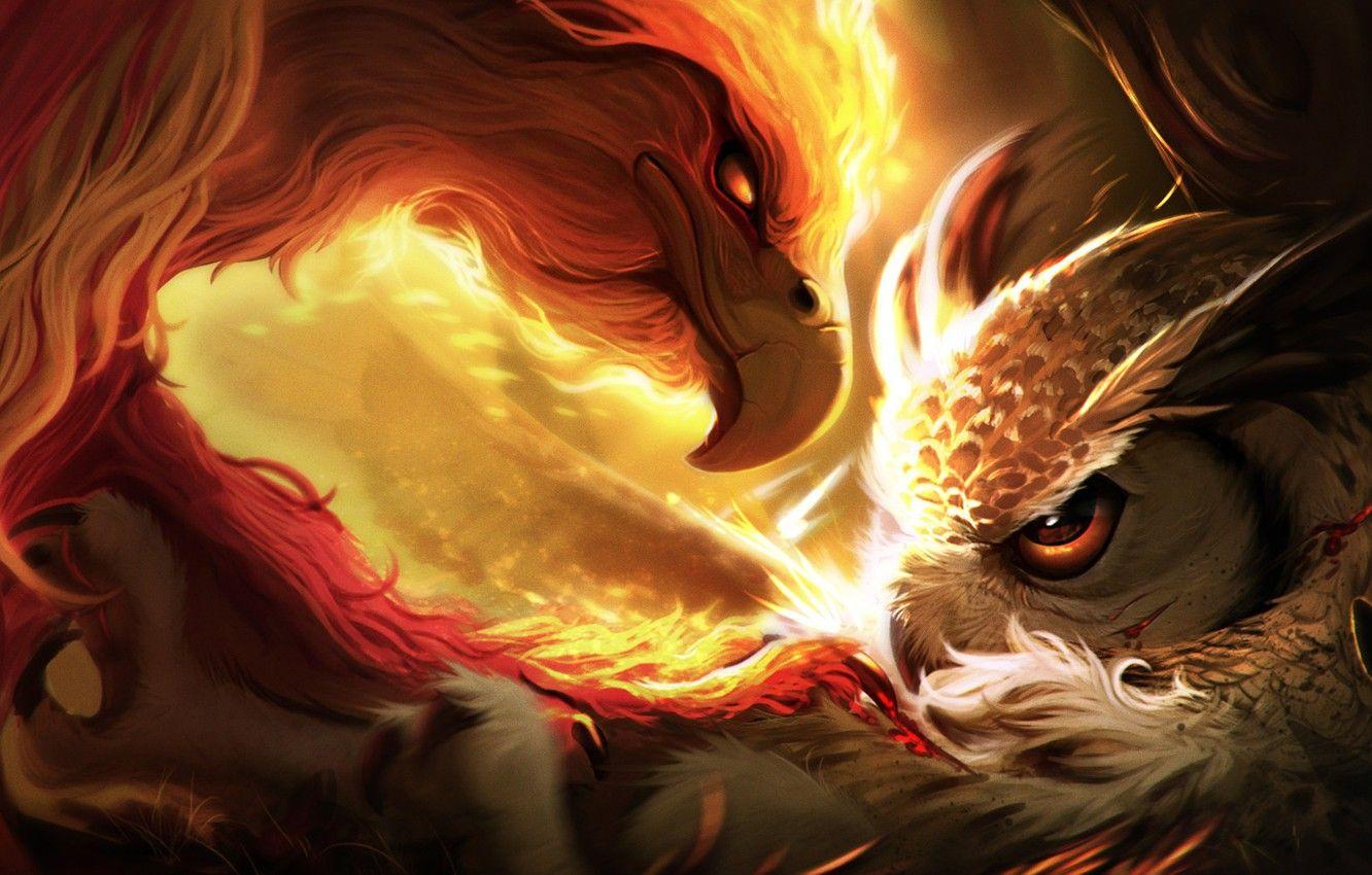 Fire Owl Wallpapers - Top Free Fire Owl Backgrounds - WallpaperAccess