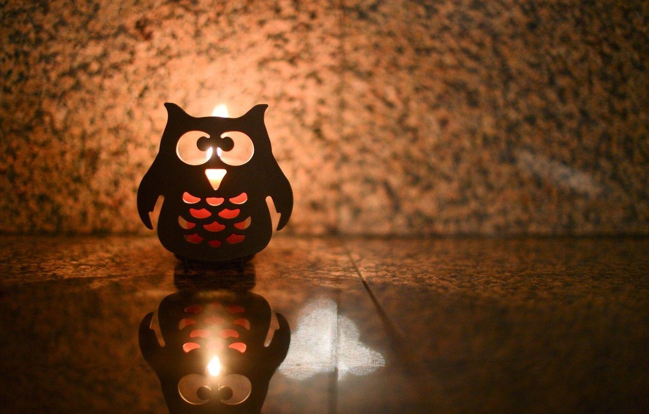 Fire Owl Wallpapers - Top Free Fire Owl Backgrounds - WallpaperAccess