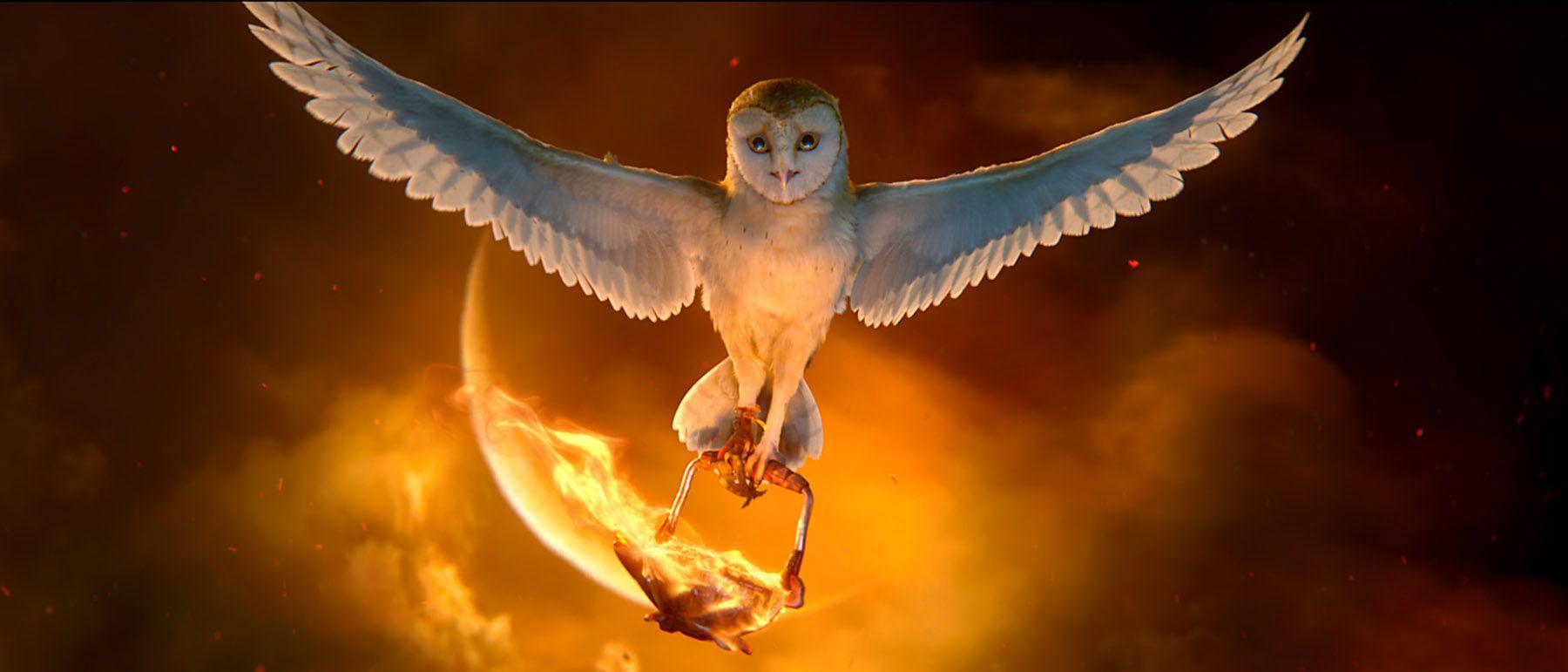 Fire Owl Wallpapers - Top Free Fire Owl Backgrounds - WallpaperAccess