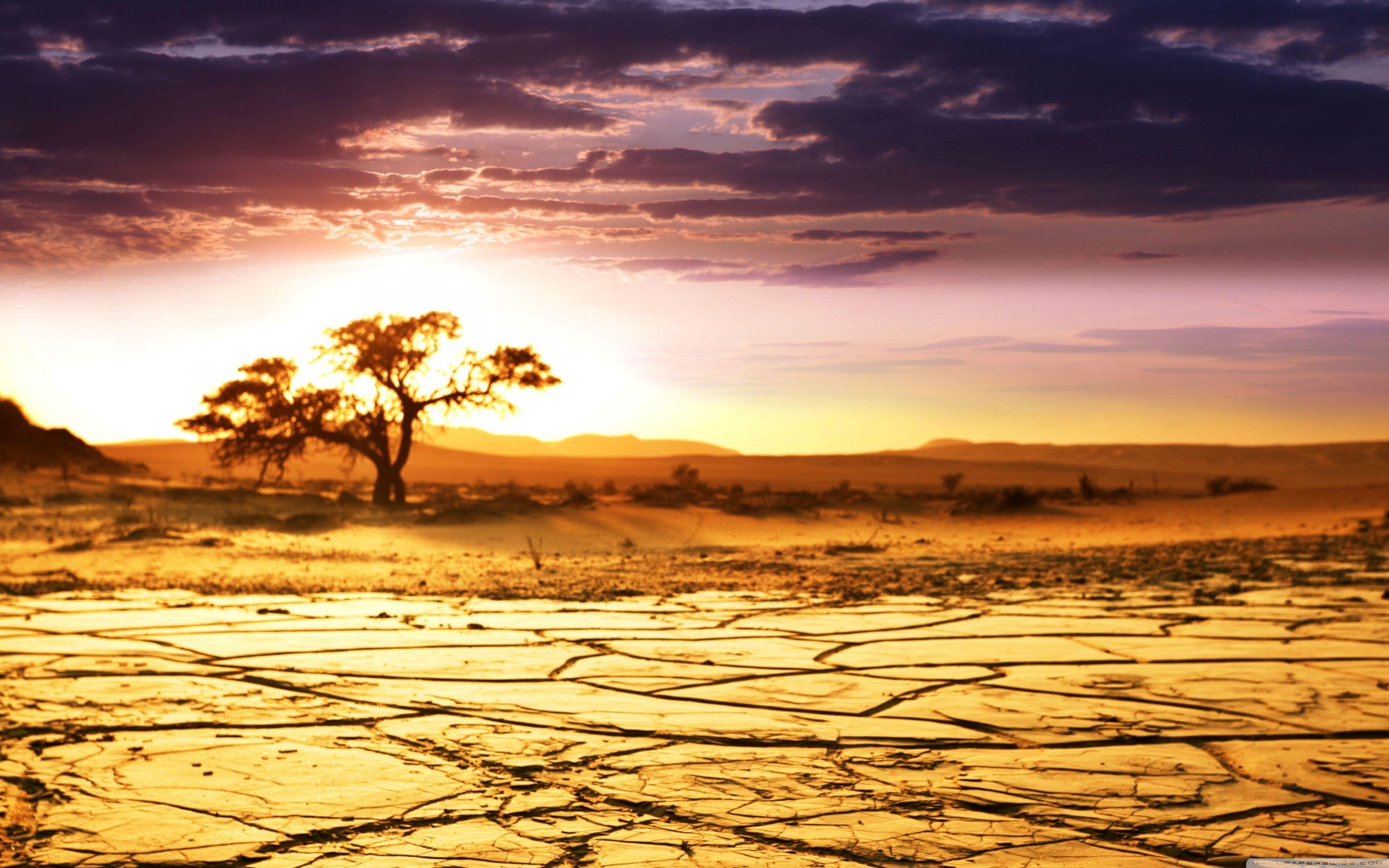 African HD Wallpapers - Top Free African HD Backgrounds - WallpaperAccess