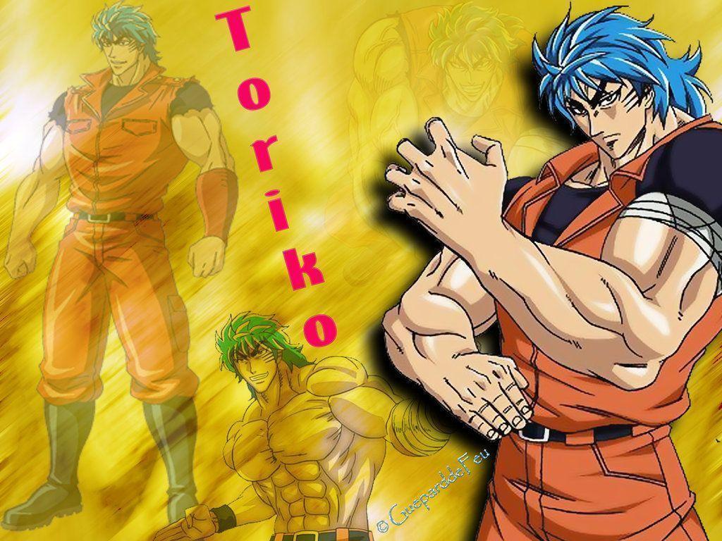 Cool Toriko Wallpapers - Top Free Cool Toriko Backgrounds - WallpaperAccess