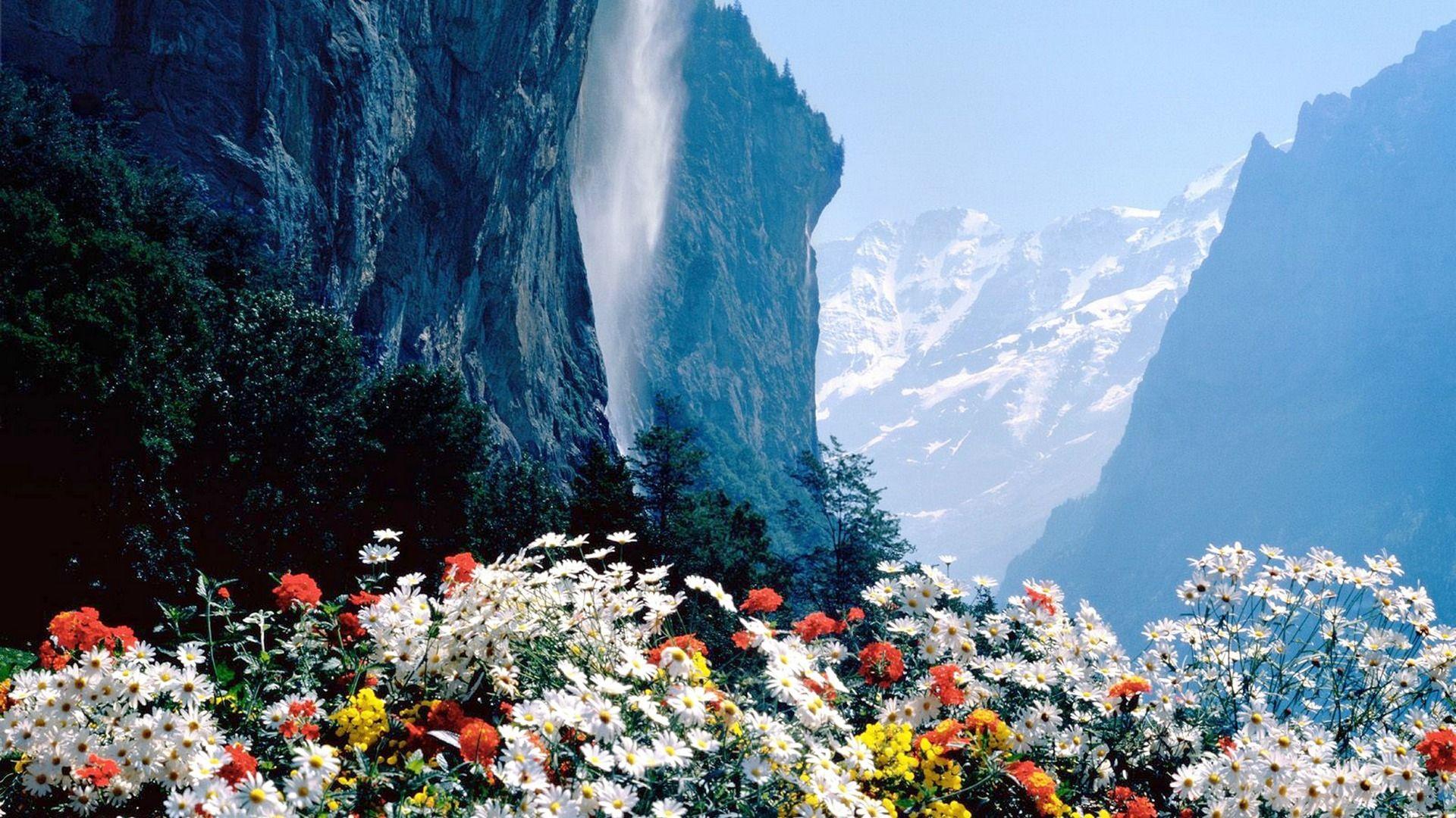 Flower Mountain Wallpapers - Top Free Flower Mountain Backgrounds ...