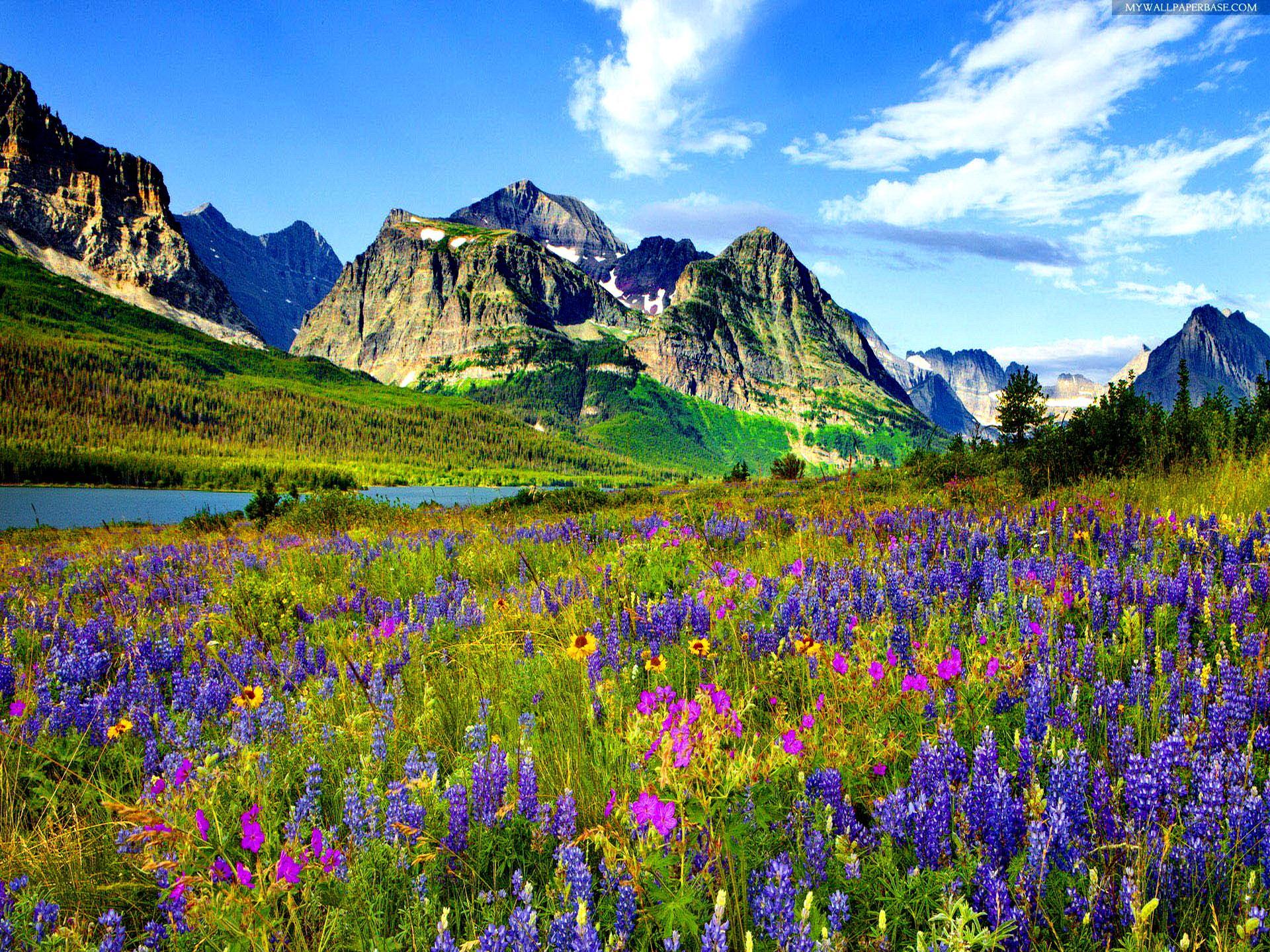 Flower Mountain Wallpapers - Top Free Flower Mountain Backgrounds ...