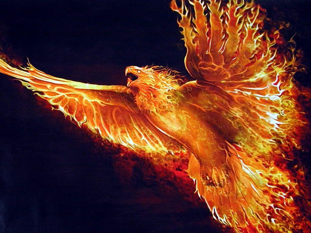 Golden Phoenix Wallpapers - Top Free Golden Phoenix Backgrounds ...