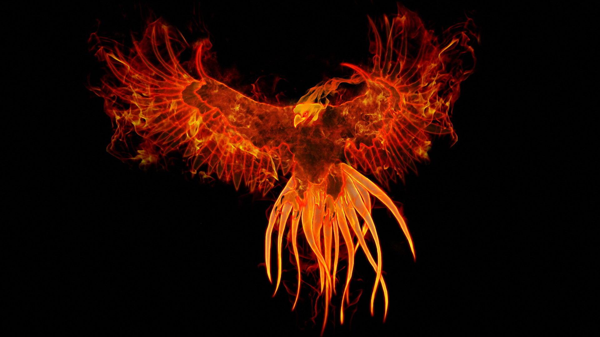 Golden Phoenix Wallpapers - Top Free Golden Phoenix Backgrounds ...