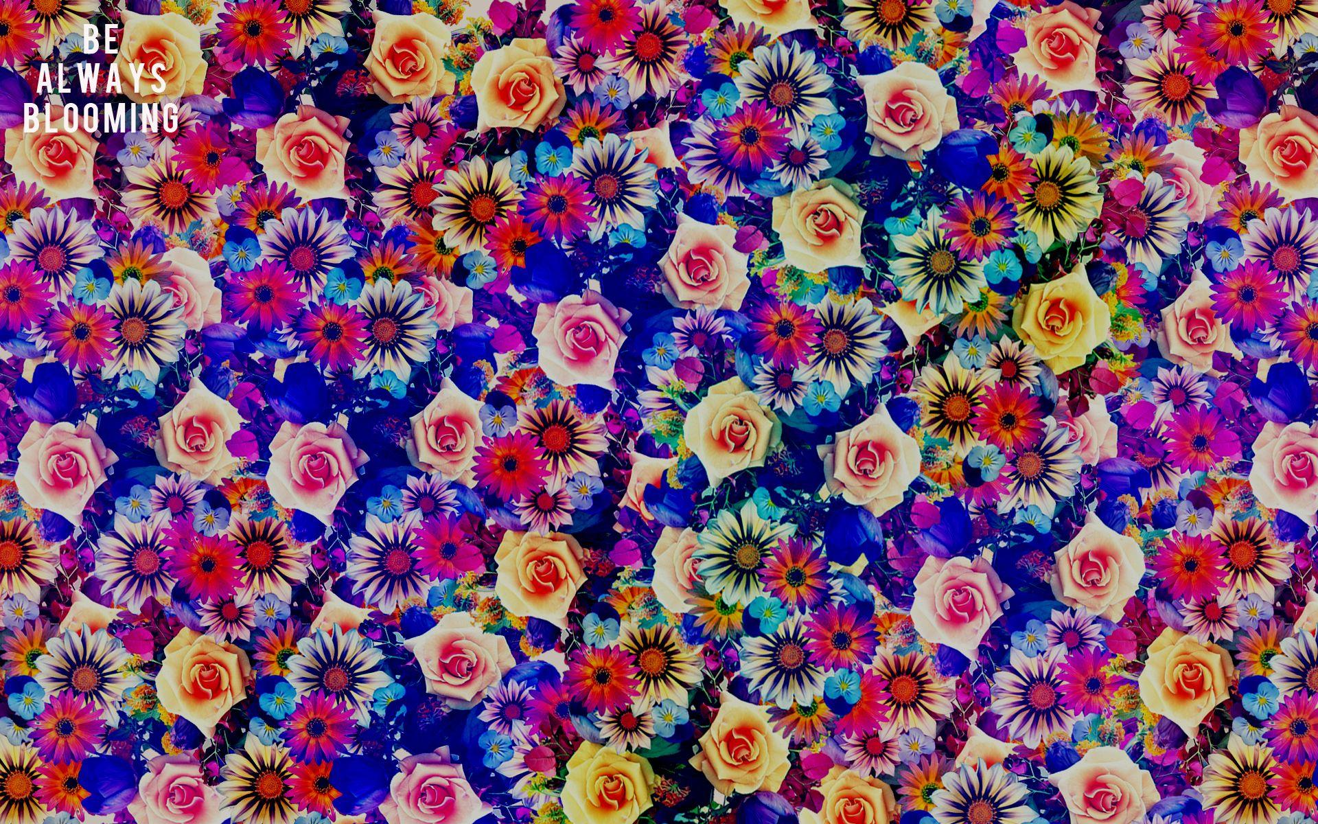 Cute Boho Desktop Wallpapers - Top Free Cute Boho Desktop Backgrounds ...