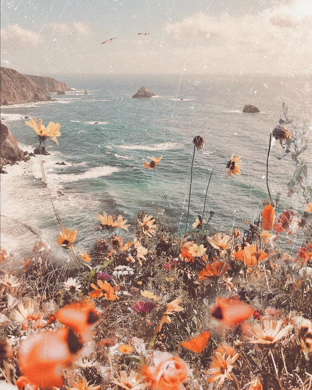 Bohemian Photography Wallpapers - Top Free Bohemian Photography ...