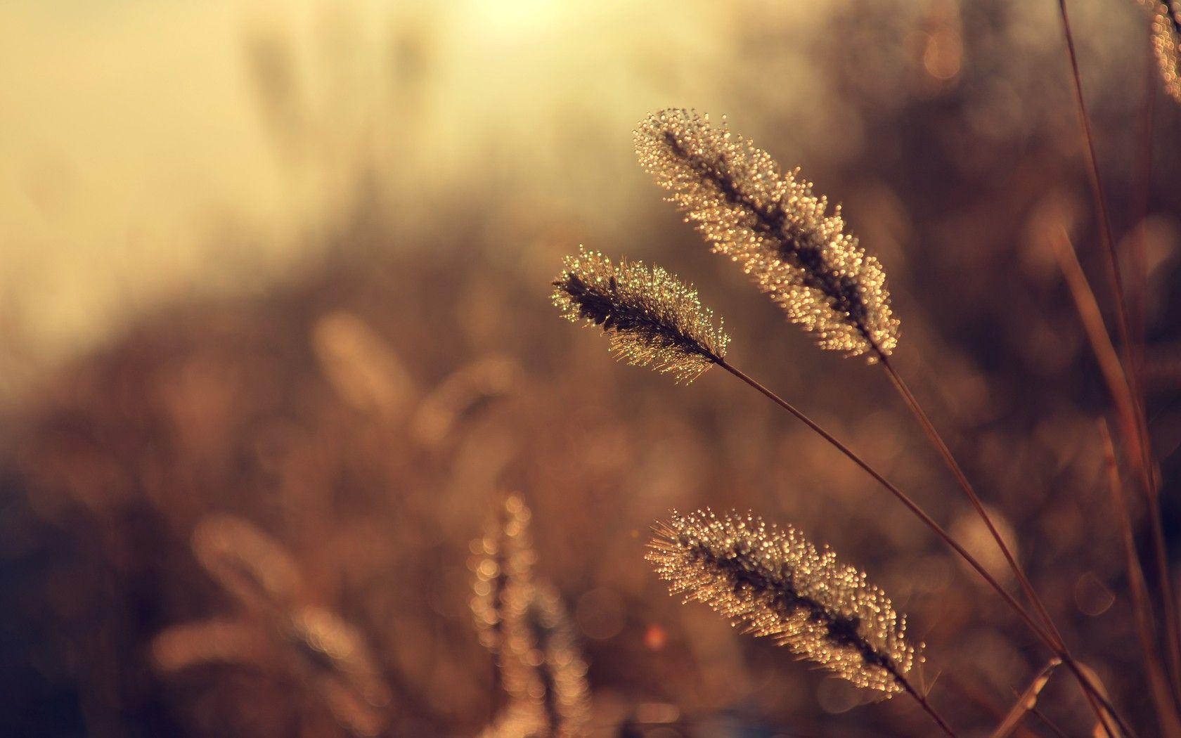 Pretty Photography Wallpapers - Top Free Pretty Photography Backgrounds ...