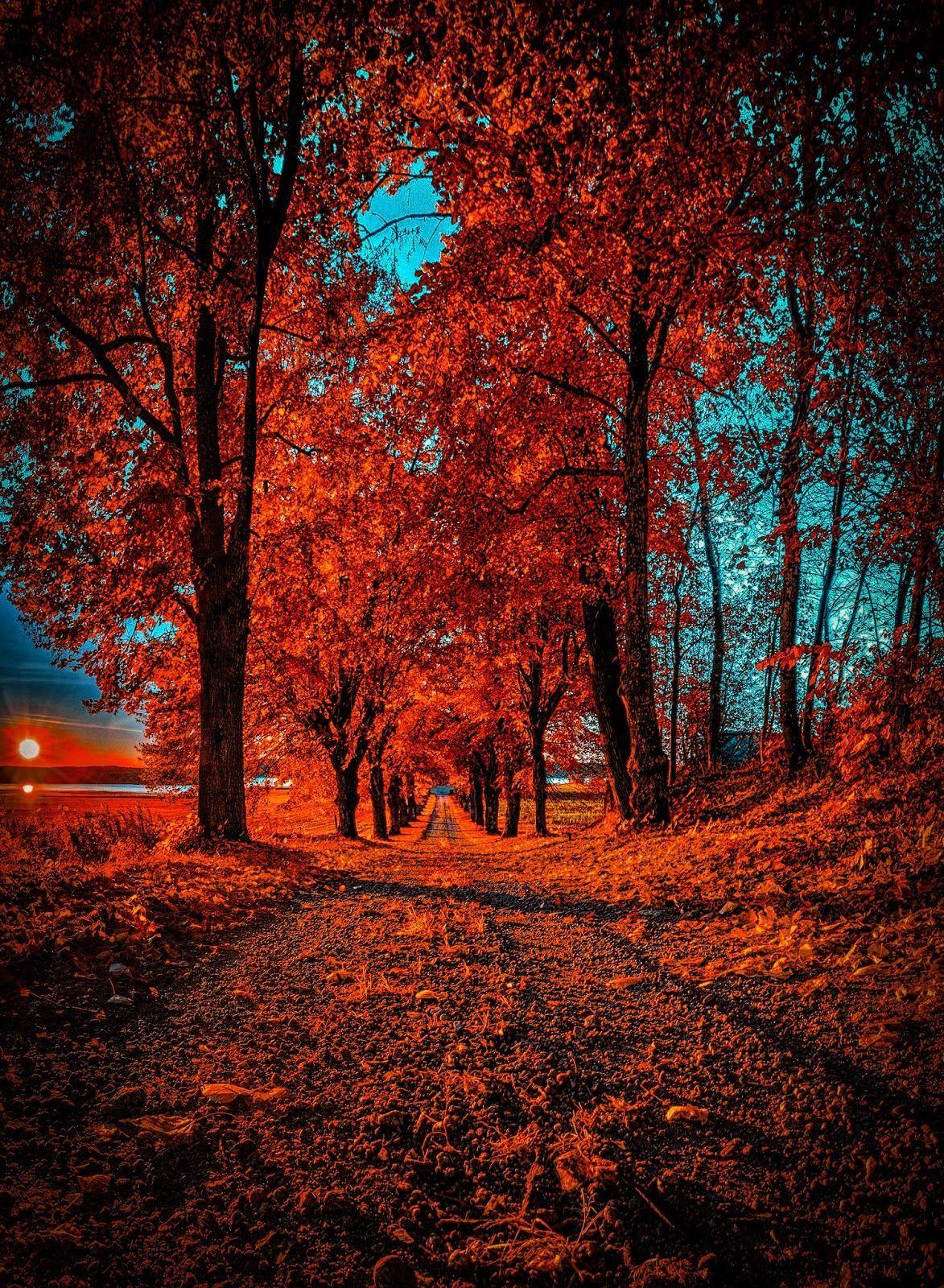 Real Photography Wallpapers - Top Free Real Photography Backgrounds ...