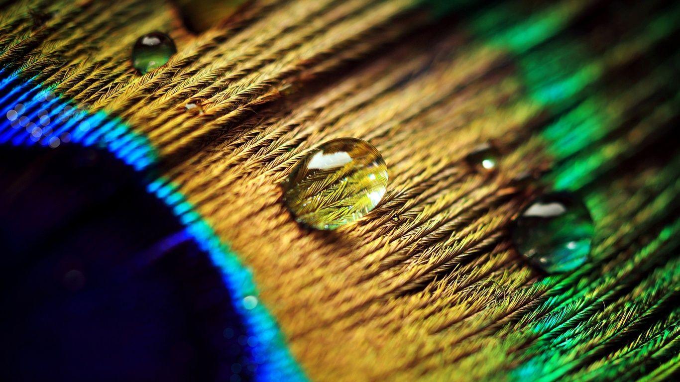 Real Photography Wallpapers - Top Free Real Photography Backgrounds ...