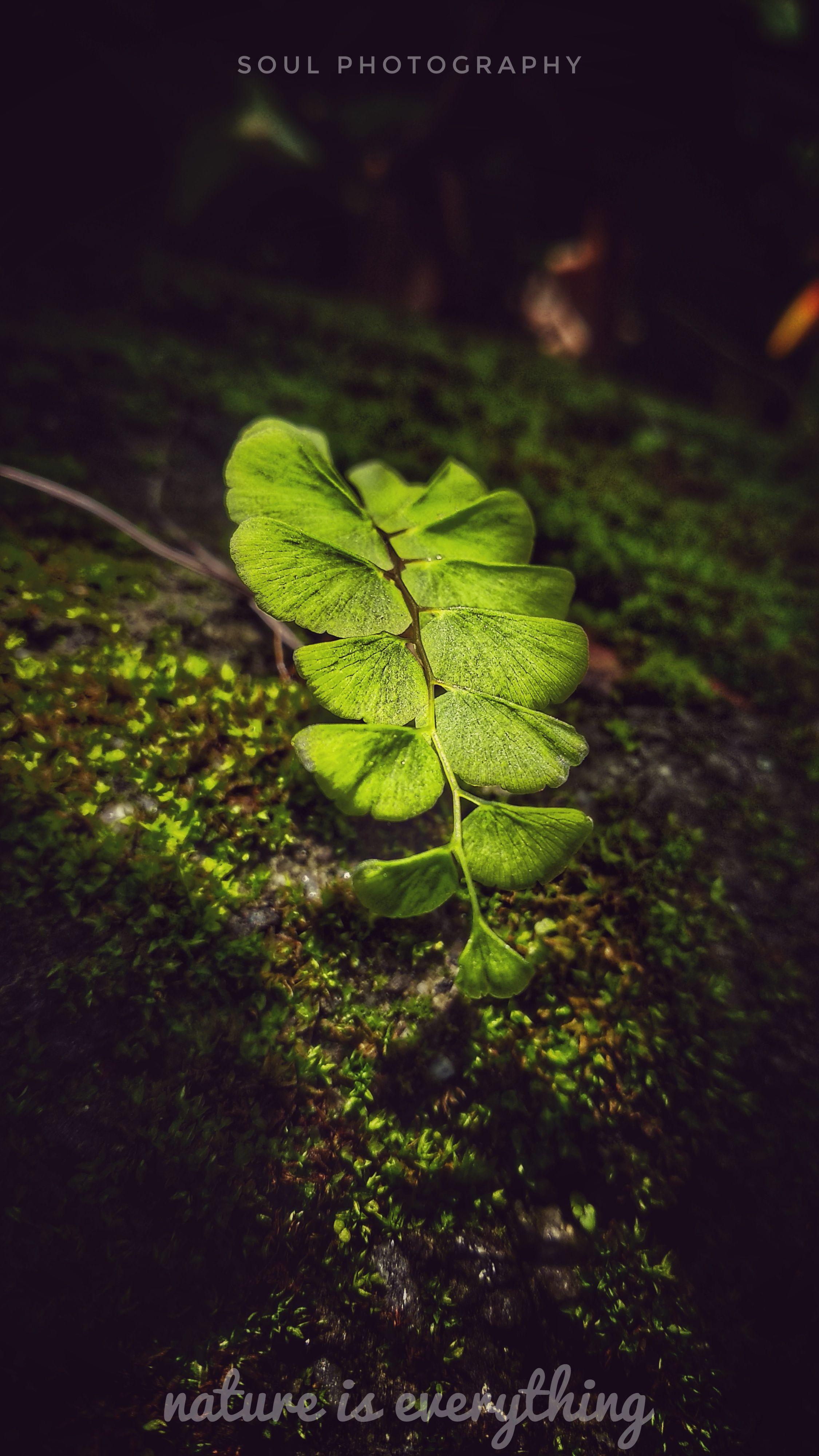 Real Photography Wallpapers - Top Free Real Photography Backgrounds ...